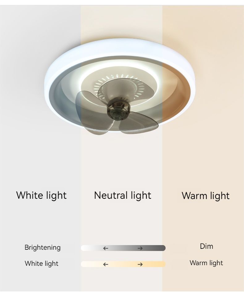 【VITALITY】360° Movable Ceiling Fan With Light DC Motor Ceiling Fan ...