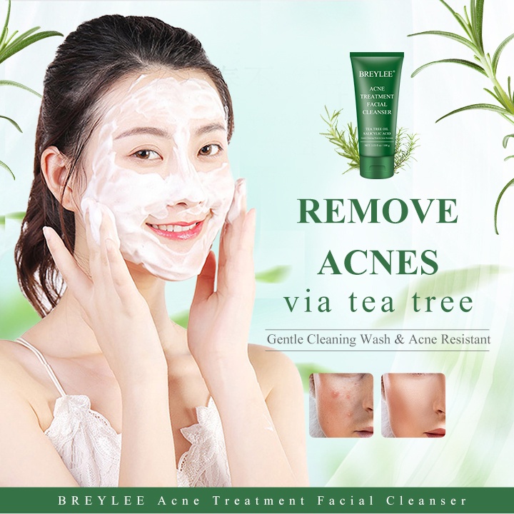 BREYLEE Facial Cleanser Acne Treatment Face Cleansing Wash Mask Skin ...