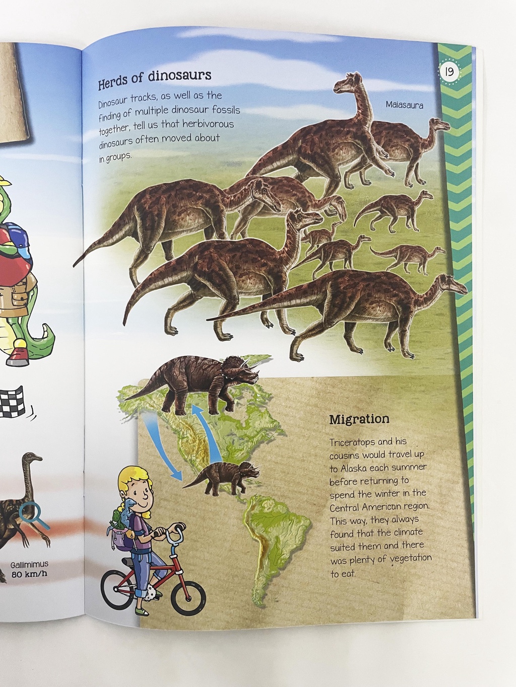 My Dinosaur Atlas Illustrated Activity Book with Dinosaur Stickers ...