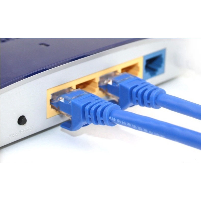 Cat6 Cat5e Internet Cable 20M - 50 Meter Network RJ45 Ethernet Lan CAT ...