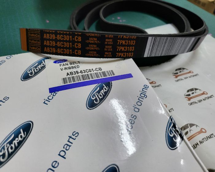 Ford Ranger 3.2 T6 (2013-2019)(AB39-6C301-CB) fan belt, 7PK3103 Made in ...