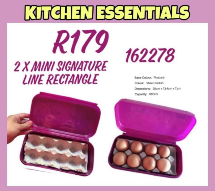 Tupperware Handy Signature Line Rectangular 980 ml Food container ...