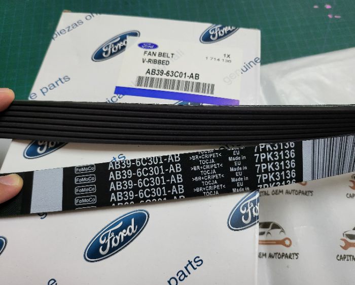7PK3136 AB39-6C301-AB Fan belt Ford Ranger T6 2.2 2012-2019 / Mazda ...