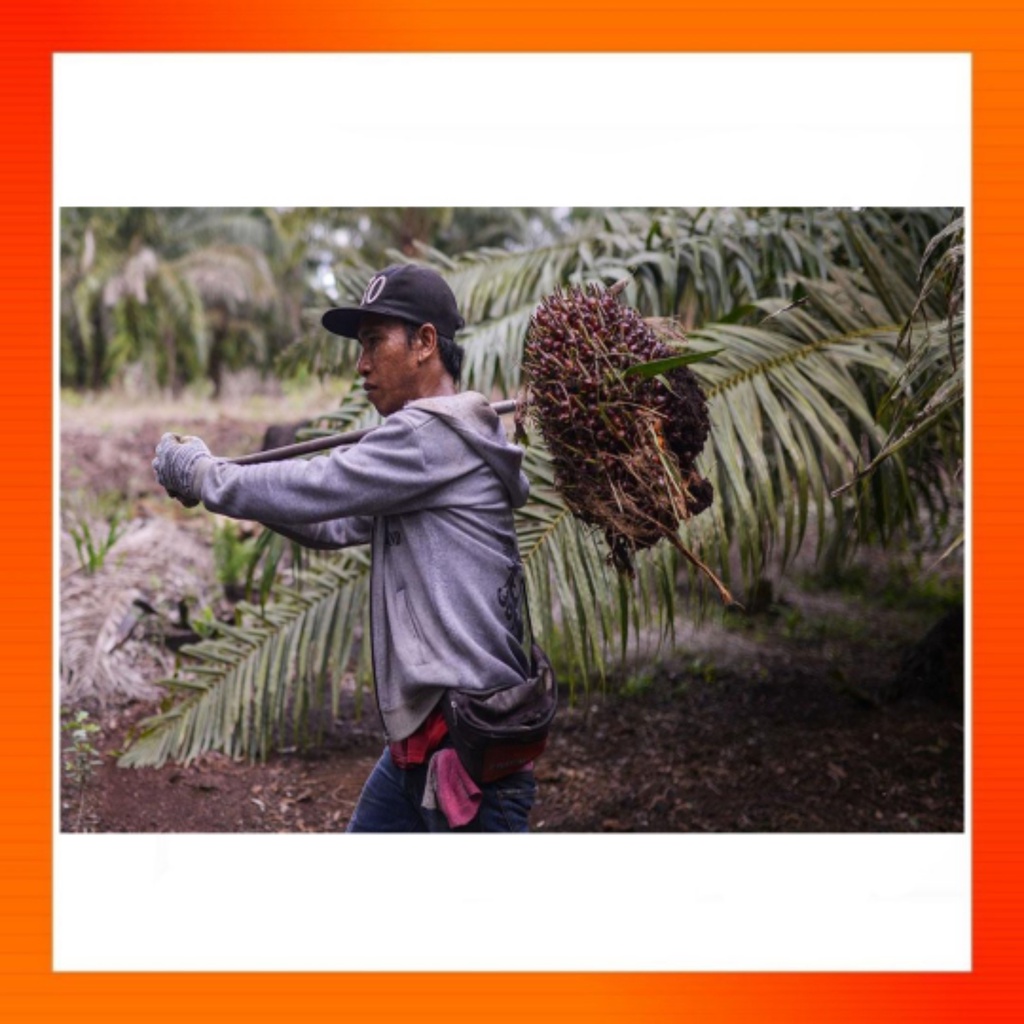 MI GLOBAL LOADING SPIKE OIL PALM BESI LOAD KELAPA SAWIT BESI CUCUK ...