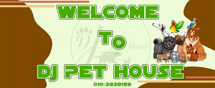 Araton Cat Adult Salmon Cat Dry Food 15Kg Makanan Kucing / 三文鱼口味猫粮 ...