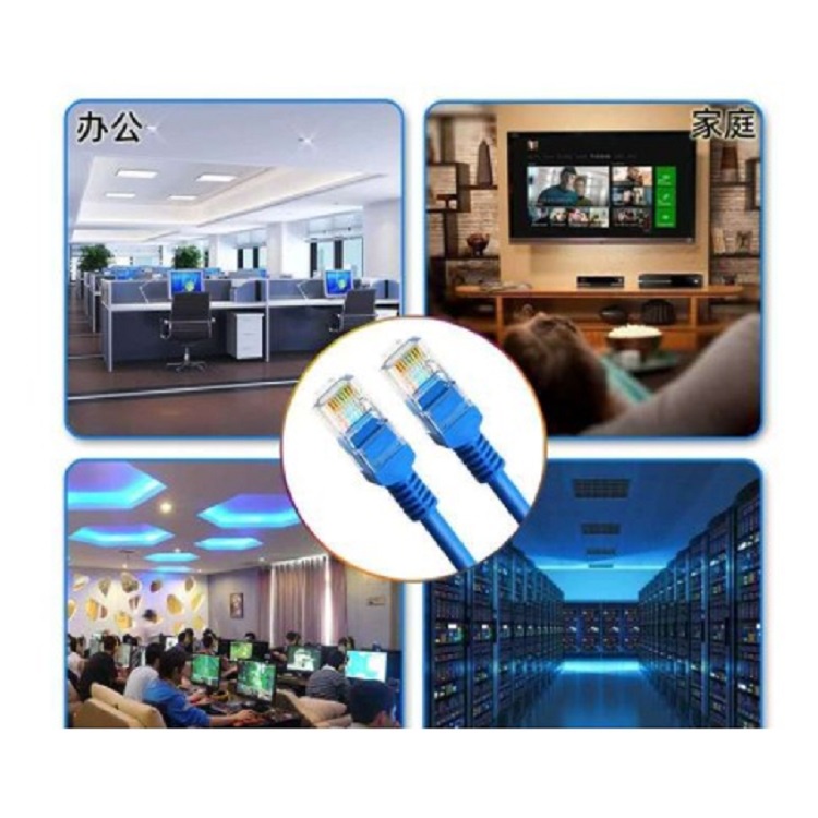 Cat6 Cat5e Internet Cable 20M - 50 Meter Network RJ45 Ethernet Lan CAT ...
