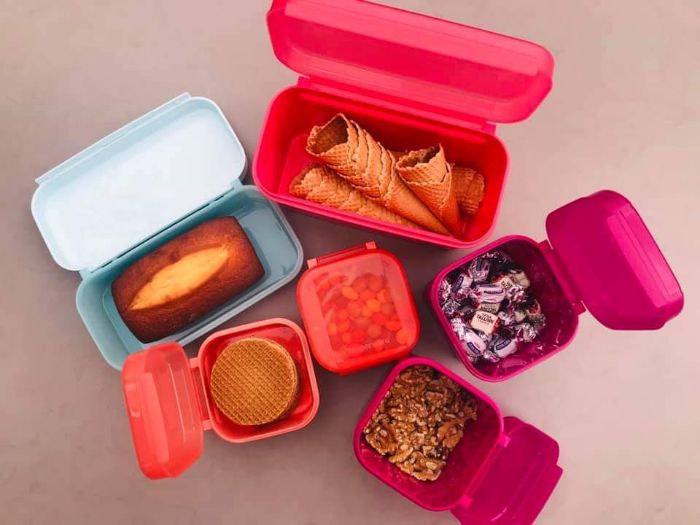 Tupperware Handy Signature Line Rectangular 980 ml Food container ...