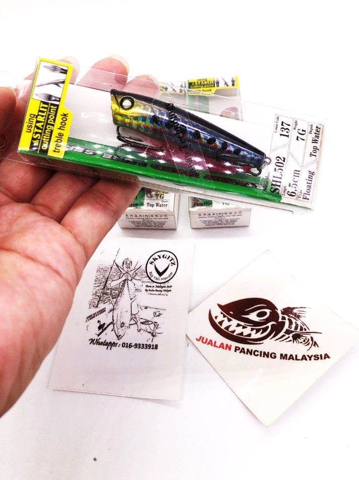 Starlit Popper 3DS SHL502 6.5cm / 7g / Floating / Top water Lure 4D ...