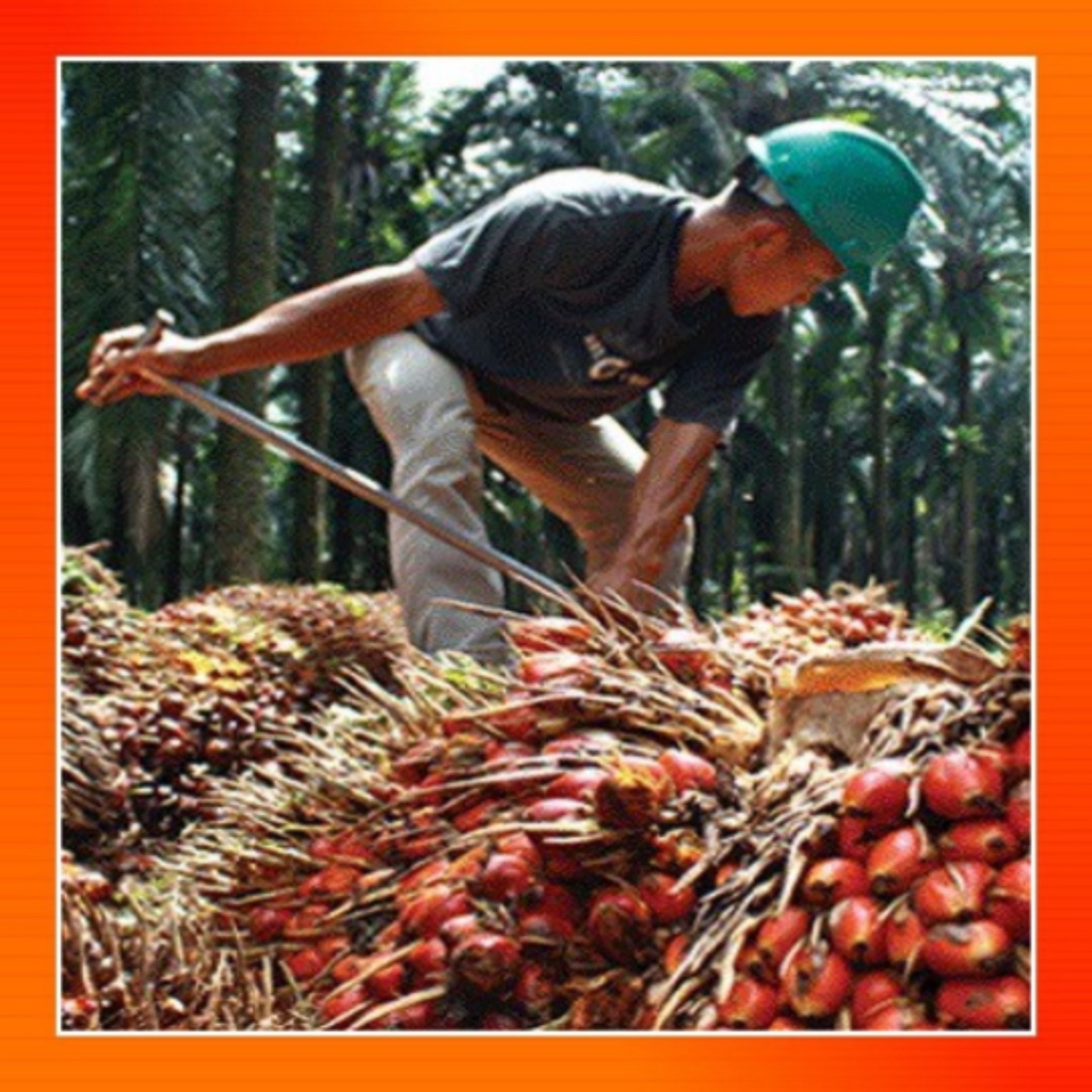 MI GLOBAL LOADING SPIKE OIL PALM BESI LOAD KELAPA SAWIT BESI CUCUK ...
