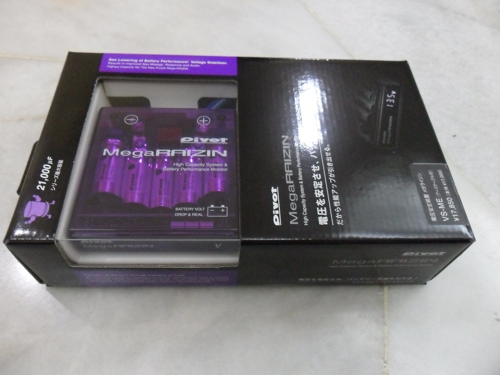 100% Original Pivot Mega Raizin Voltage Stabilizer + 5 Point Grounding ...