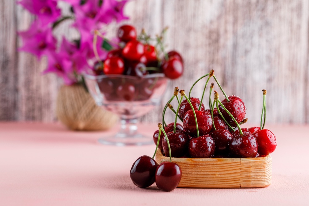 Cherry车厘子种子 Biji Benih Ceri Fruit Buah Buahan Seed Plant 5pcs | Shopee ...