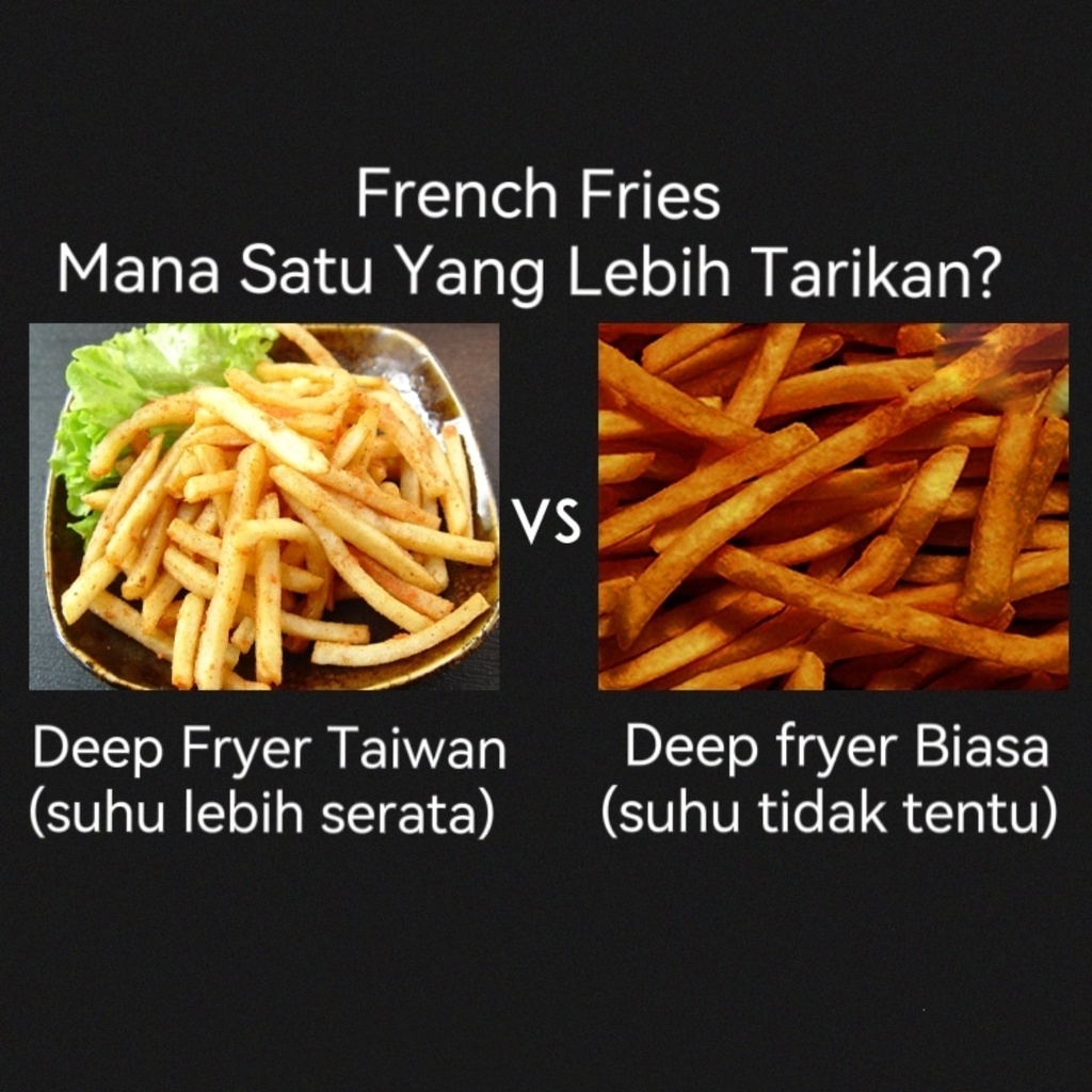 KT WARE 24L TAIWAN Dual Tank Commercial Gas Deep Fryer Desktop ...