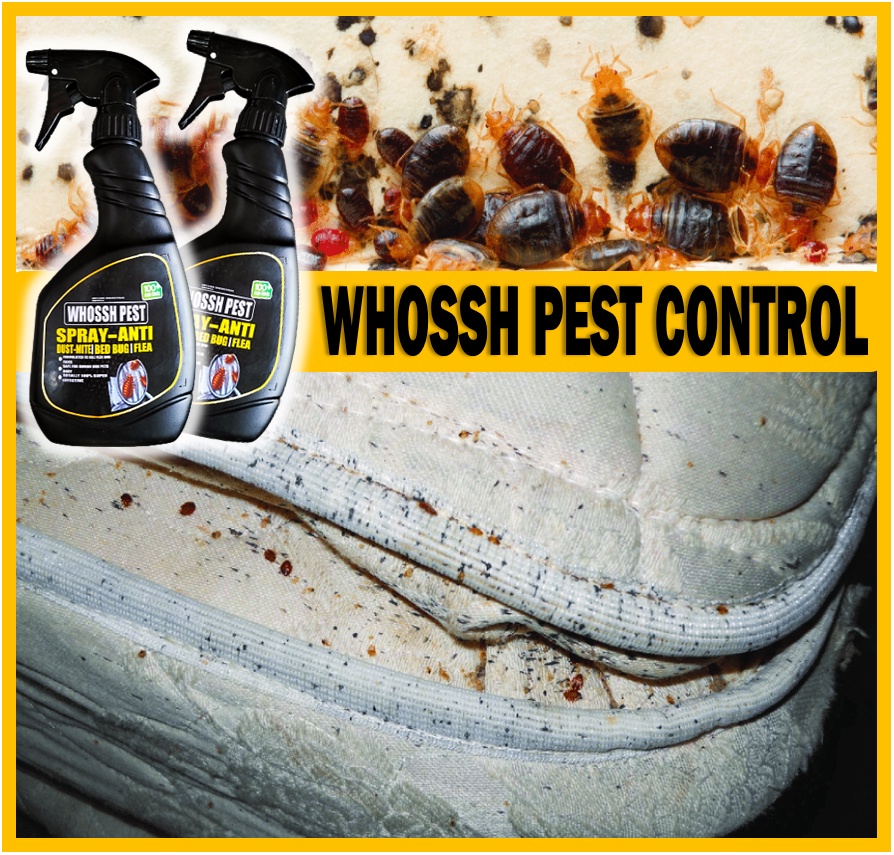 WHOSSH PEST Bed Bug & Dust Mite Flea Tick Control (Anti Pepijat/Kutu ...