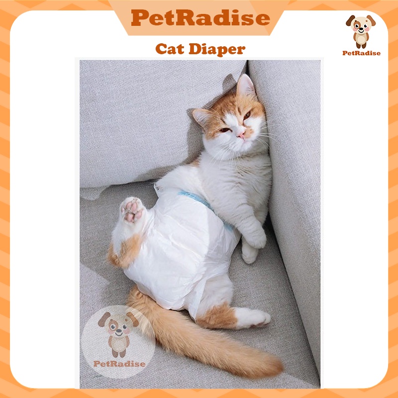 PETRADISE Cat Diaper Cat Diapers Cat Pamper Kucing Pet Diapers Cat Pee ...