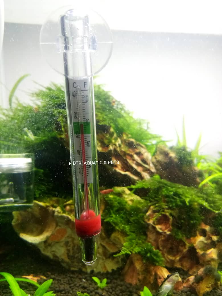 Small Fish Aquarium Thermometer With Suction Cup Suhu Tank READY STOCK ...