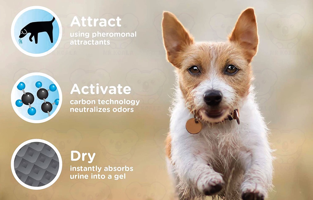 Bamboo Charcoal Wee Pad Toilet Train Pee Pad Pet Urine Pad Potty Pads ...