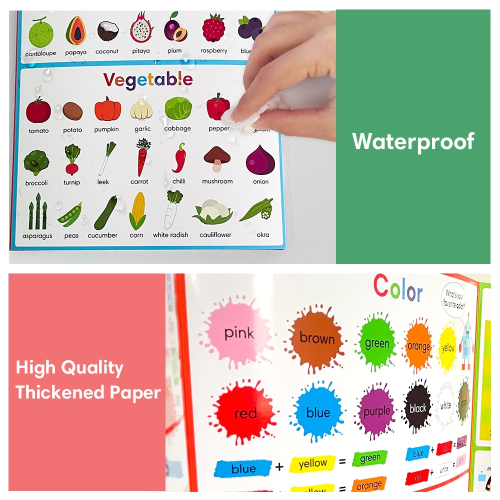 My First Learning Chart and Phonics Chart Set English Words Learning ...