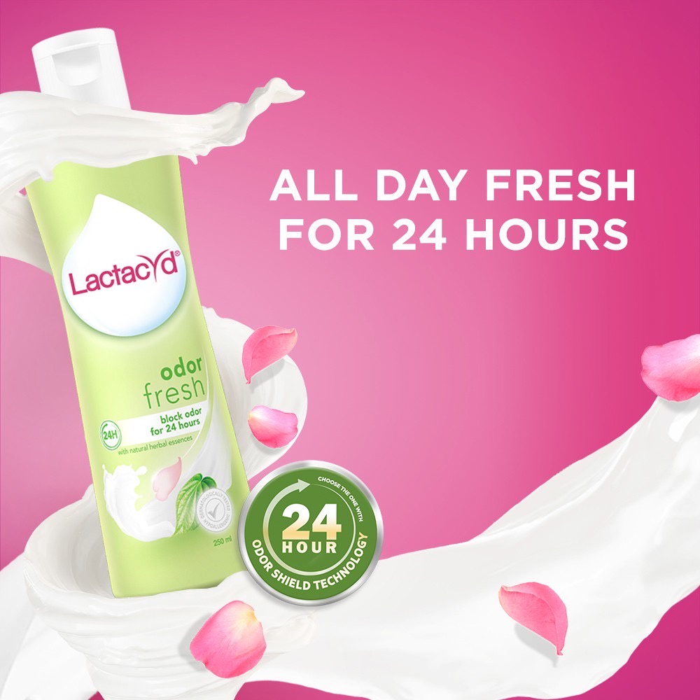 Lactacyd Daily Feminine Wash 250ml/250mlx2 (AllDay Care/ Odor Fresh ...