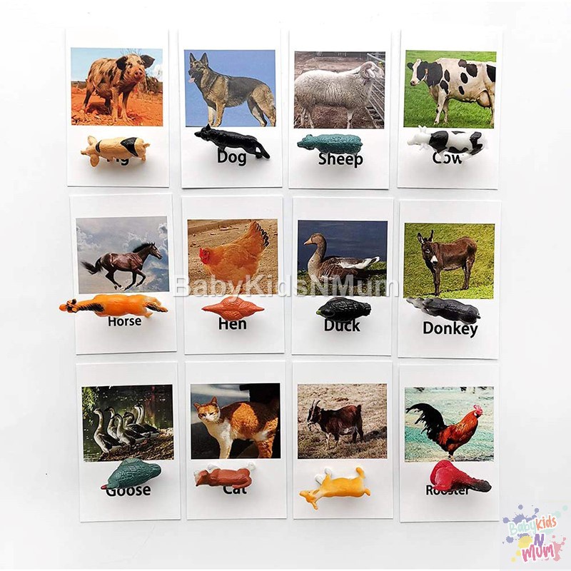 Montessori Animal Match Miniature Farm Animal Toy Figurines with ...
