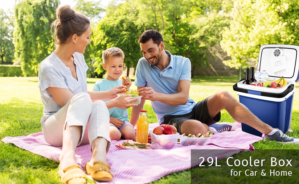 Electric Cool Box, 29 Litre Car Cooler Box 12v 220v, with Cooling and ...