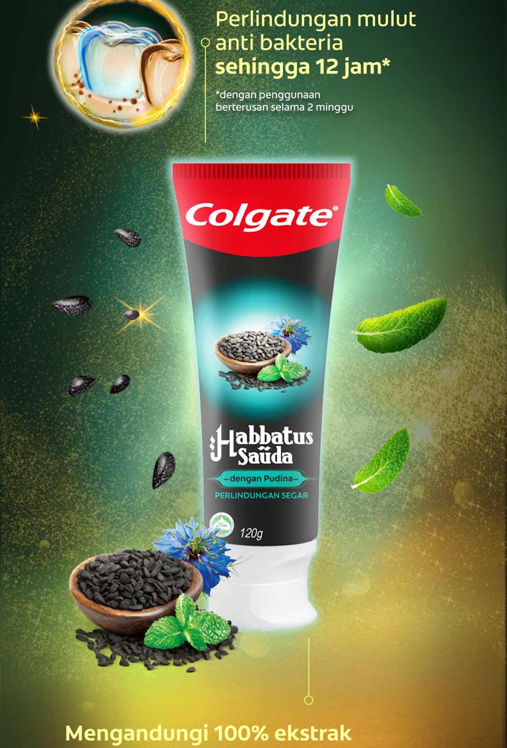 Colgate Habbatus Sauda Mint Toothpaste 120g | Shopee Malaysia