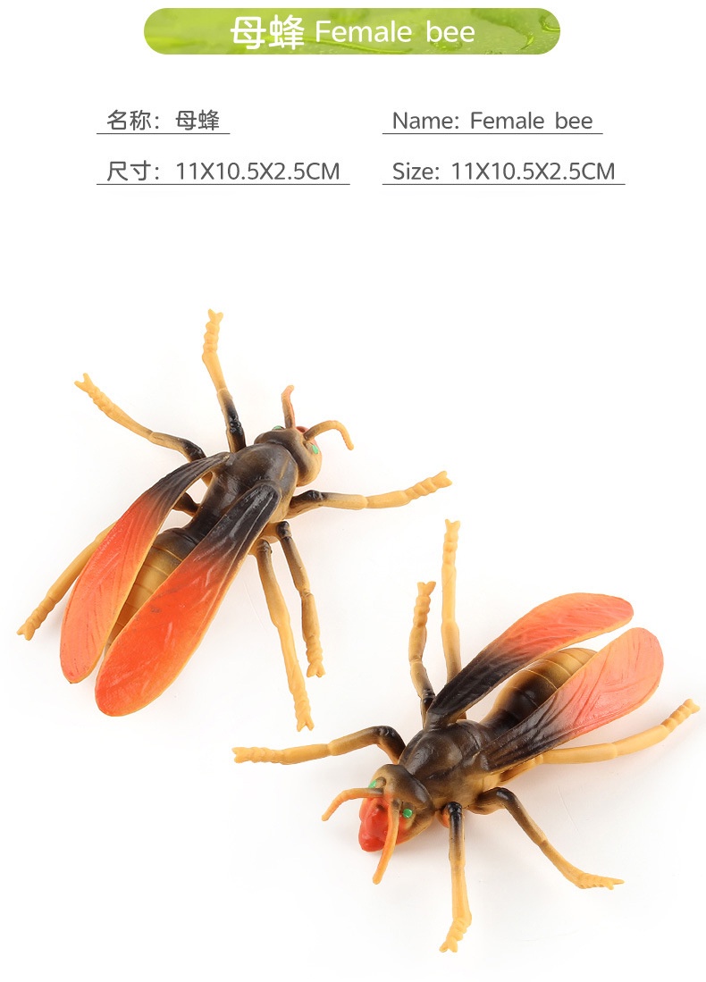 Mini Simulation Insect Model Ladybug Bee Spider Cockroach Models Action ...