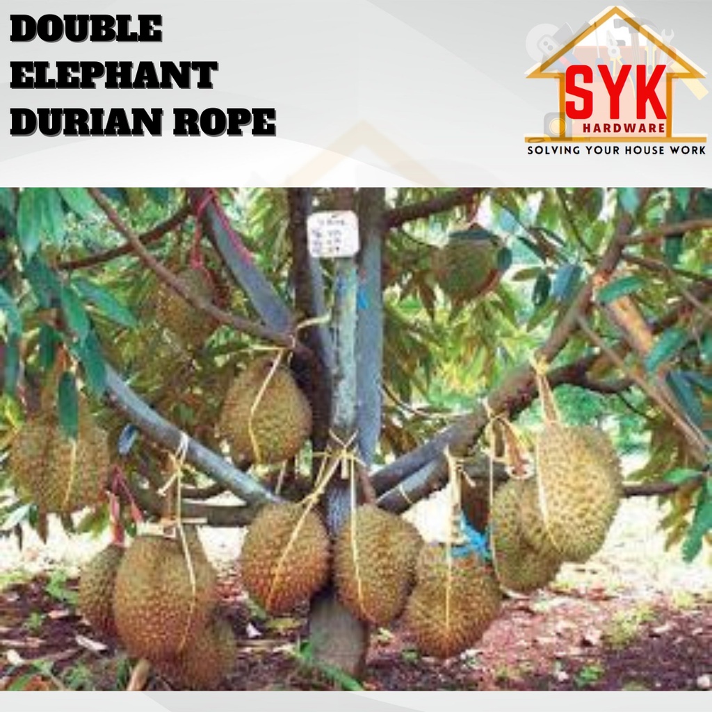 SYK Double Elephant Durian Rope 1 Inch x 200 Meter Support Tie Durian ...