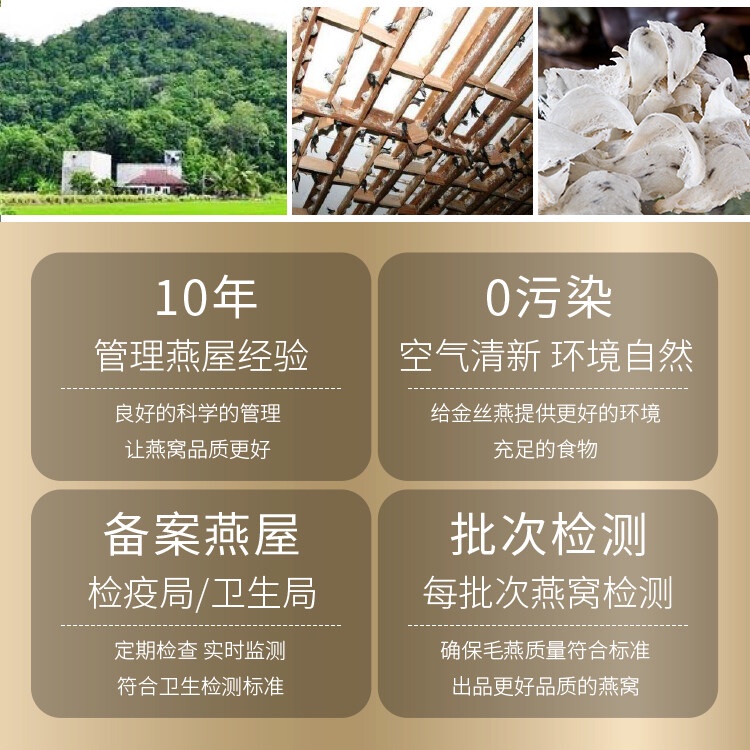 Original Natural Cave Bird’s Nest 上等纯天然野生洞燕片送礼最佳首选 100% Original Gua ...