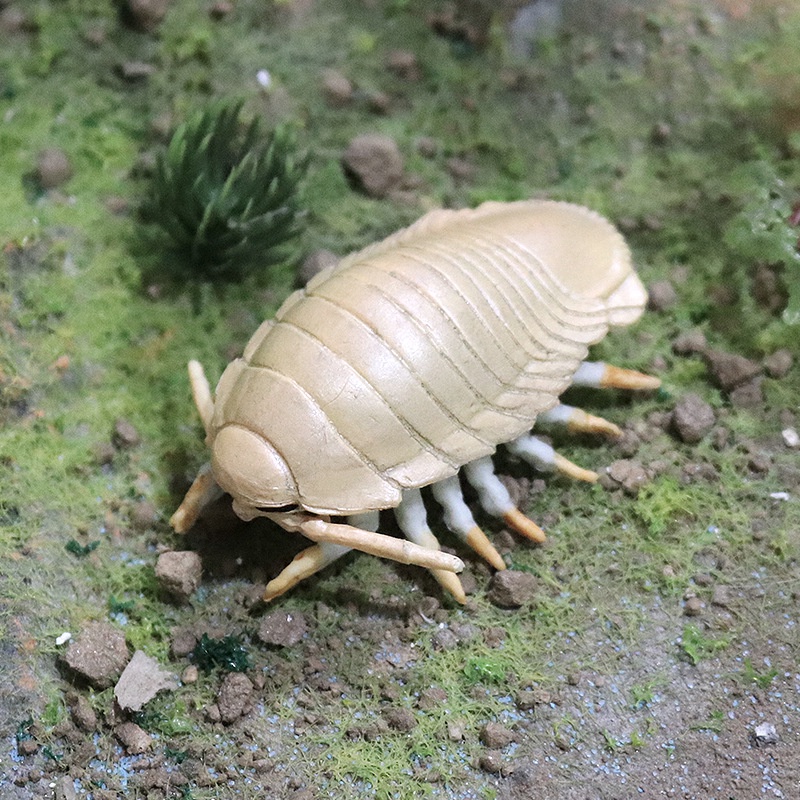 simulation marine organism giant isopod arthropoda model children ...