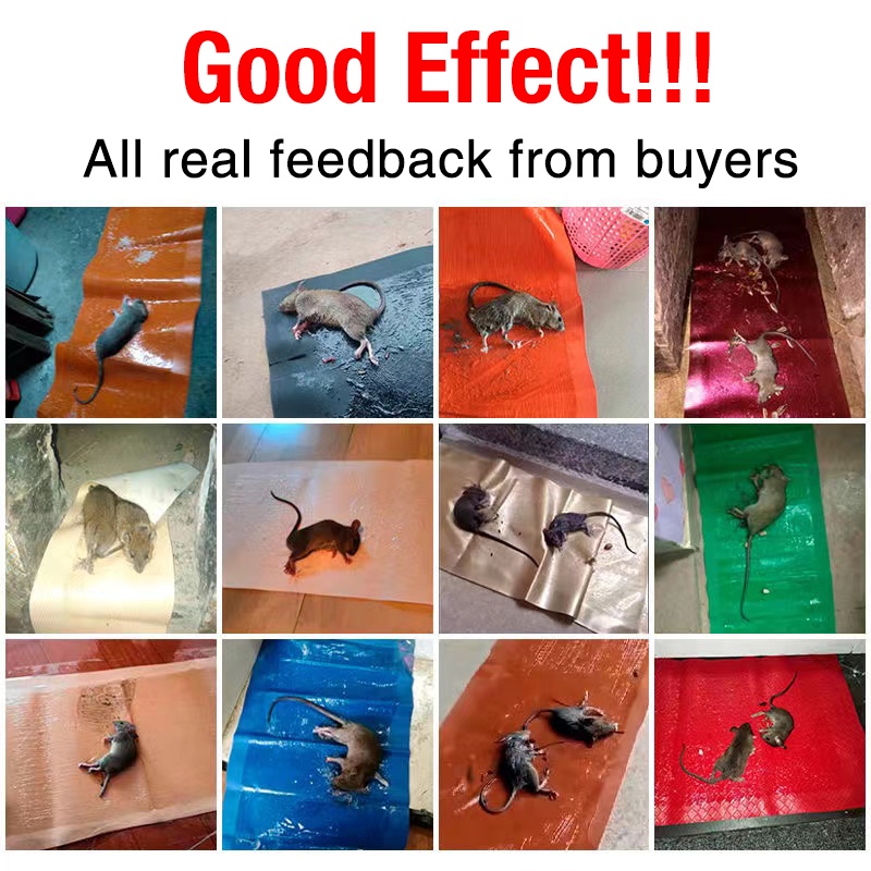 🔥Buy 5 free 1🔥 1.2m Gam Tikus Super Strong Mouse Trap Glue Rat Stickers ...
