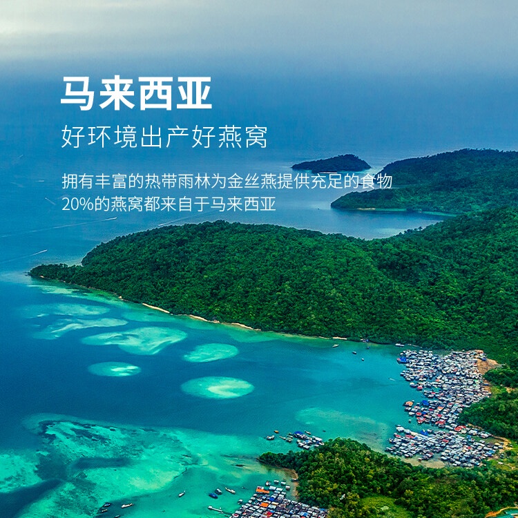 Original Natural Cave Bird’s Nest 上等纯天然野生洞燕片送礼最佳首选 100% Original Gua ...