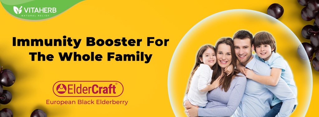 VITAHERB BERRYCOL Syrup Black Elderberry Extract For Flu & Cough (120ml ...