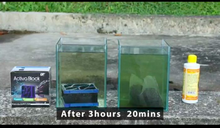 Ocean free activa block carbon aquarium filter media akuarium carbon ...
