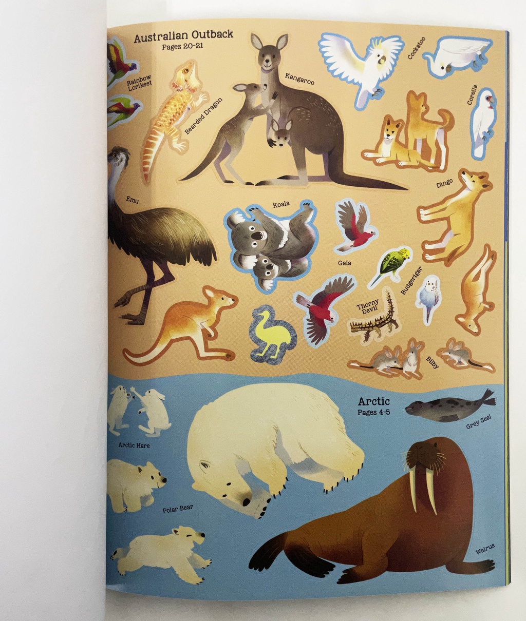 Amazing Animals Giant Stickers Activity Book For Kids To Learn About ...