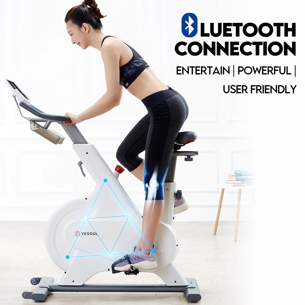 YESOUL Smart Spinning Bike Magnetic Bike M1 / Basikal Putaran Pintar ...