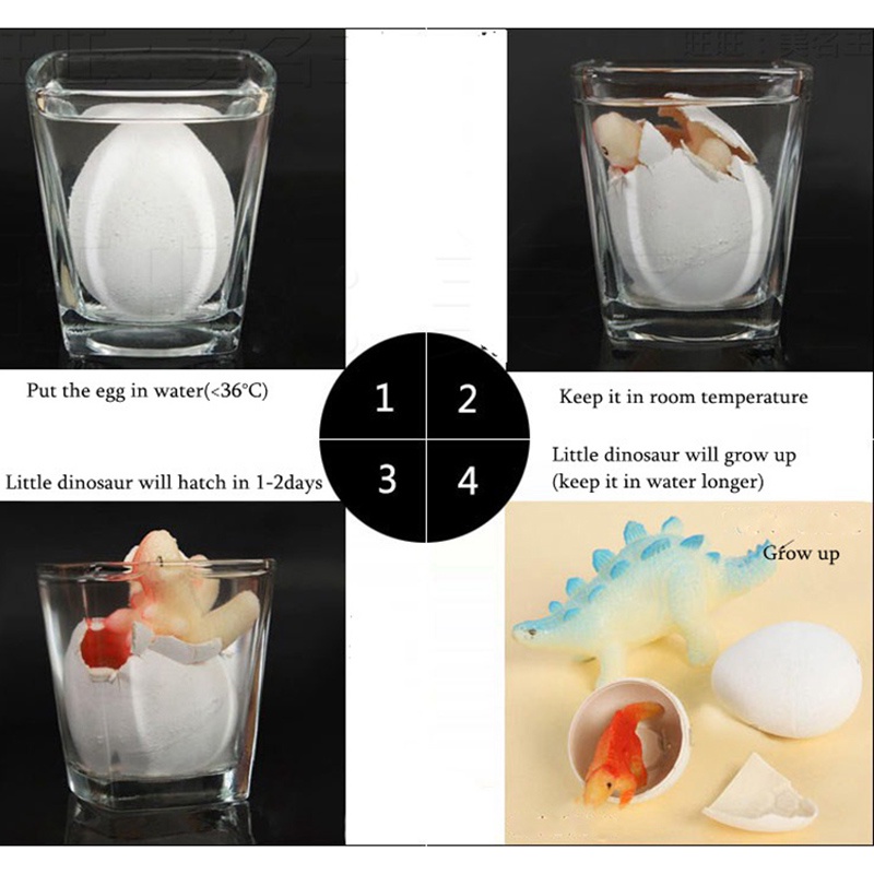 10pcs/set Magic Hatching Growing Dinosaur Add Water Grow Egg Animal ...