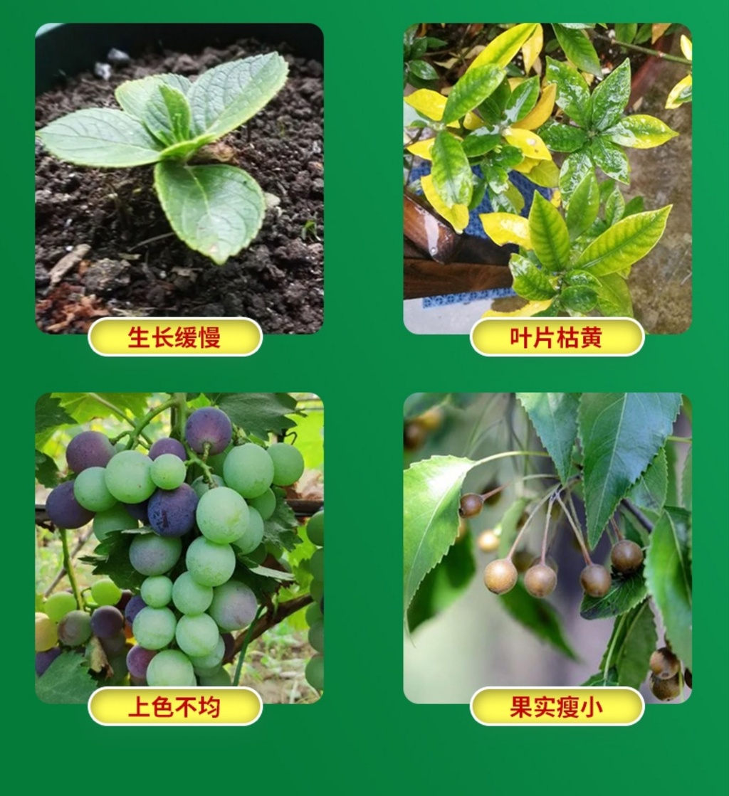 🌱80g🌱 Baja Tunggal Nitrogen Baja Pokok Bunga尿素肥料 | Shopee Malaysia