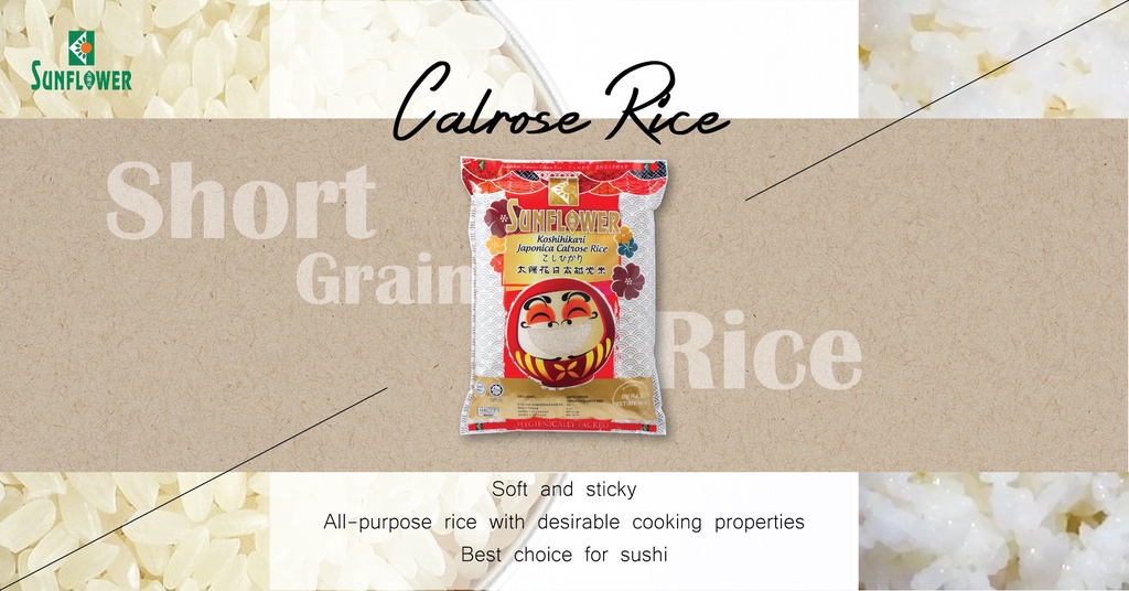 Sunflower Koshihikari Japonica Calrose Japanese Rice Beras Sushi Jepun ...