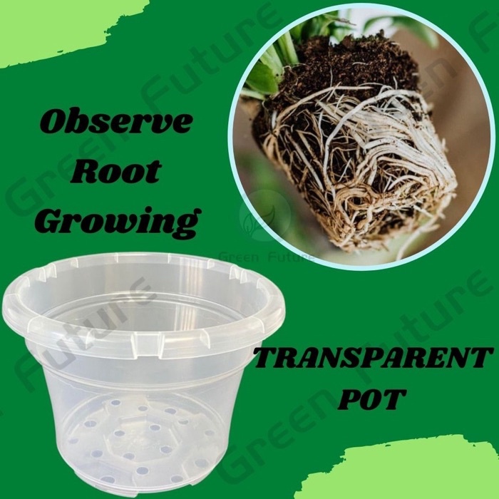 Octo Transparent Flower Pot Hydroponics Orchid 透明花盆 花盆 绿植花盆 Transparan ...