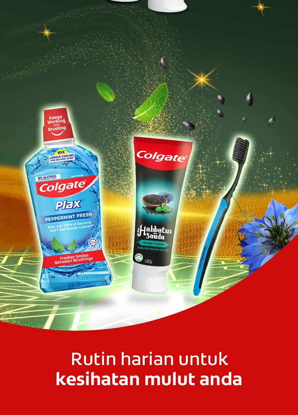 Colgate Habbatus Sauda Mint Toothpaste 120g | Shopee Malaysia