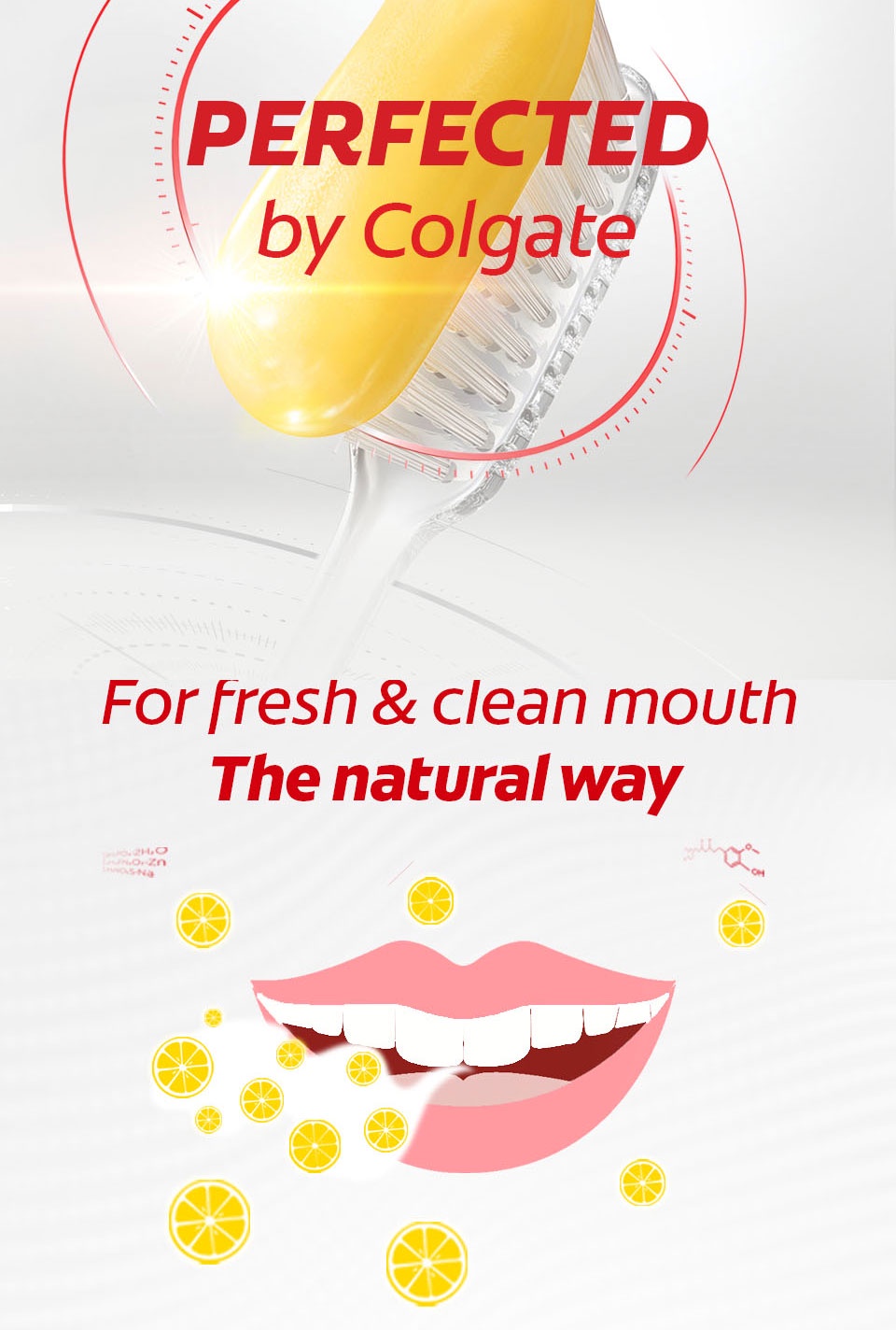 Colgate Naturals Pure Fresh Lemon & Aloe Vera Toothpaste (120g x 2 ...