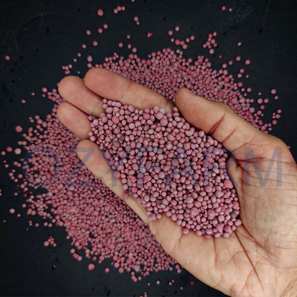 1KG YARAMILA NPK 131321 baja paksa bunga dan buah fruit fertilizer 100% ...