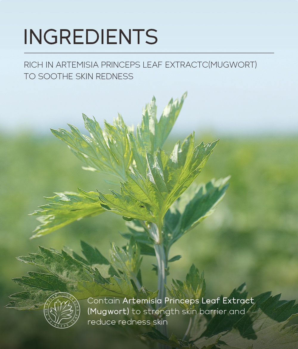 Fenyi Lab Mugwort Pore Clarifying Mask Cleansing Pores Blackhead ...