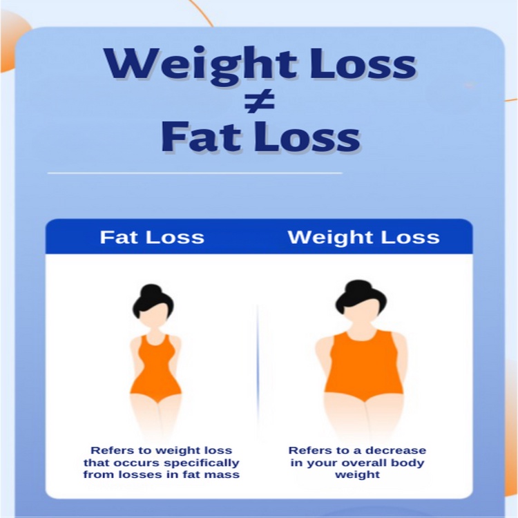 ACCUSURE 12-in-1 Body Fat Scale BMI Weight Scale LED Display Electronic ...