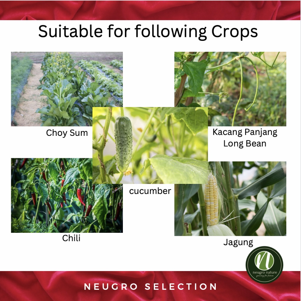 Syngenta Dual G960 500ml Herbicide - Racun Rumpai Pra Cambah /Rumput ...