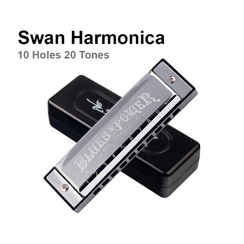 SWAN Harmonica Key of C 10 Holes 20 Tones | 24 Holes 48 Tones | C Key ...