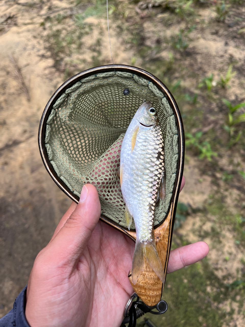 Tanago Wood Handmade Micro Net | Shopee Malaysia