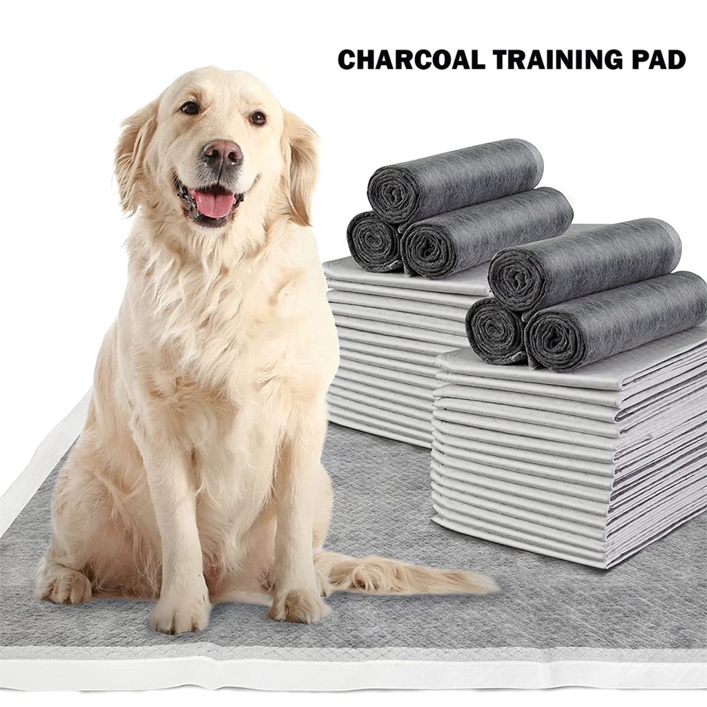 Pet Pee Pads,Cat Training Pads and Cat Litter Pads, Dog Pee Pads, Cat ...