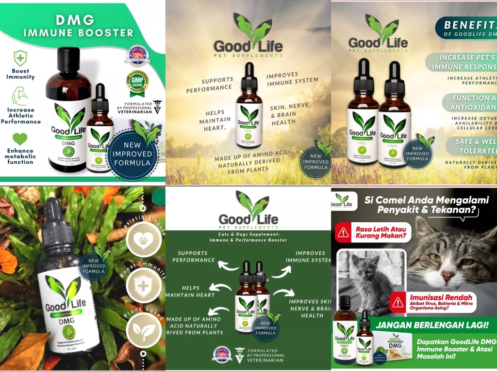 GOODLIFE DMG Veterinarian Formulated Immune Booster For Cats & Dogs ...