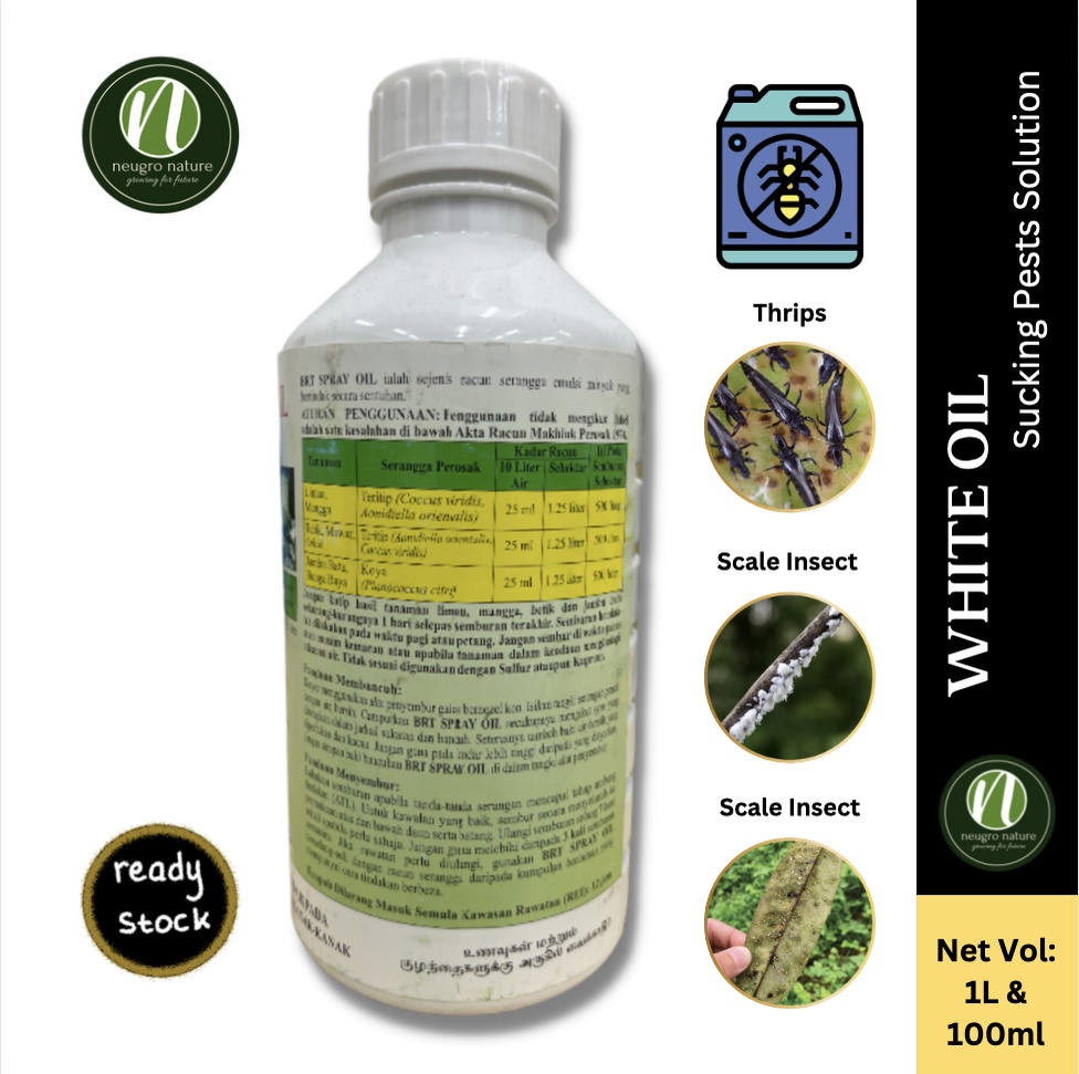 BRT Spray Oil White Oil Organic Pesticide Minyak Putih Untuk Teritip ...
